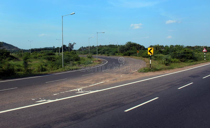Road in Branch Forest with Tree with Green Needles Stock Image - Image ...