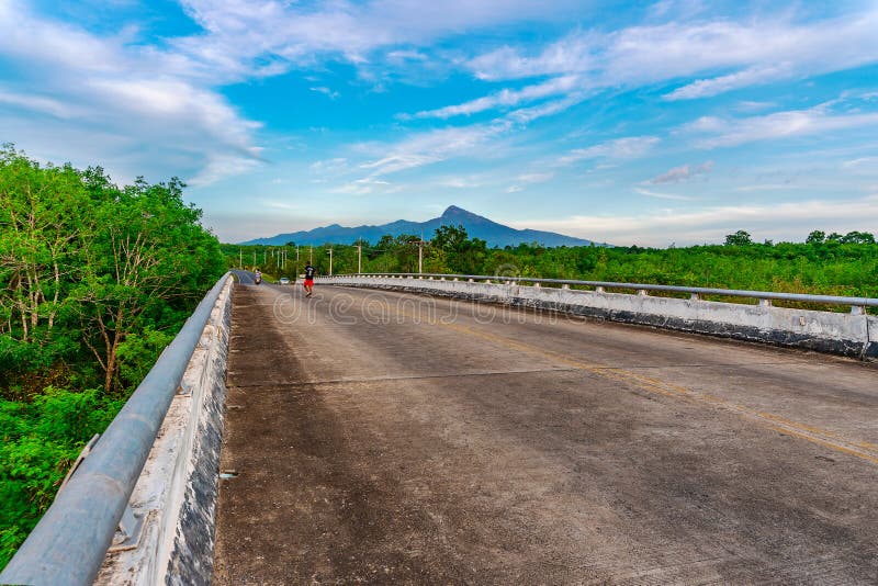 Road with Bridge and Tree Nature in Sunlight Stock Photo - Image of ...