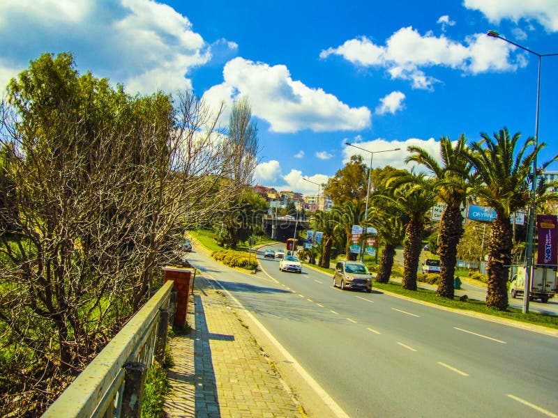Road Bridge Two Lines Side Road Cars Palm Trees Cloudy Sky Editorial ...