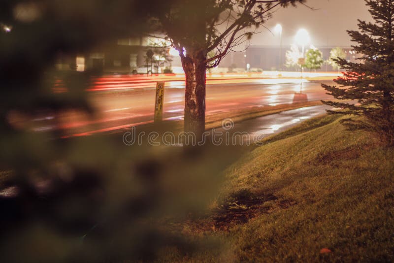 Road with Bright Street Lights and Trees Stock Image - Image of lights ...