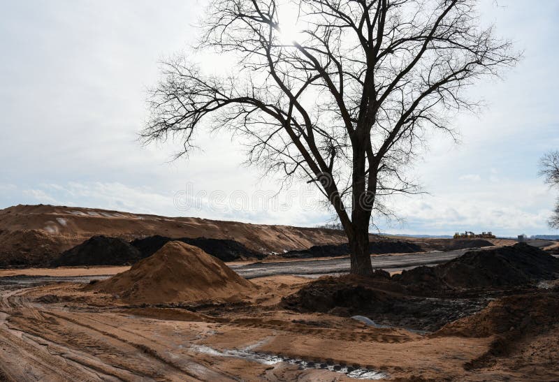 Two Road Builders Assemble and Level Fresh Asphalt with a Whisk and ...