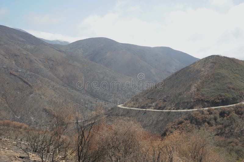 Road into Burnt Land editorial stock photo. Image of satwiwa - 31576383