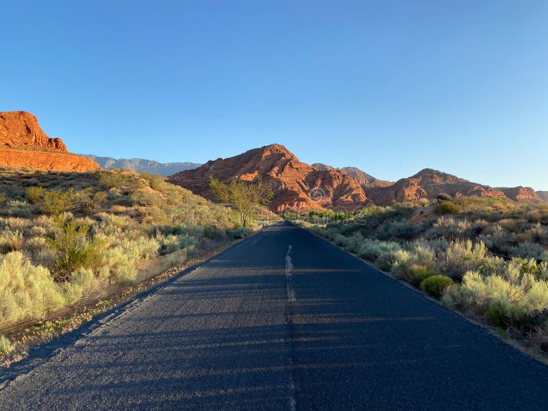 Road between Bushes Directed To the Red Cliffs in Utah Stock Image ...
