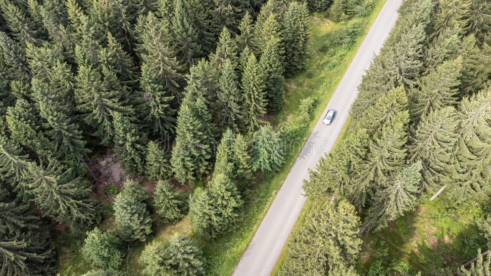 Road with Car Conifers from Above Stock Photo - Image of country ...