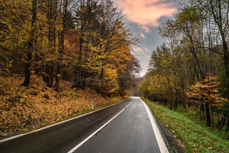 Road for Cars in the Autumn Forest Stock Photo - Image of fall ...