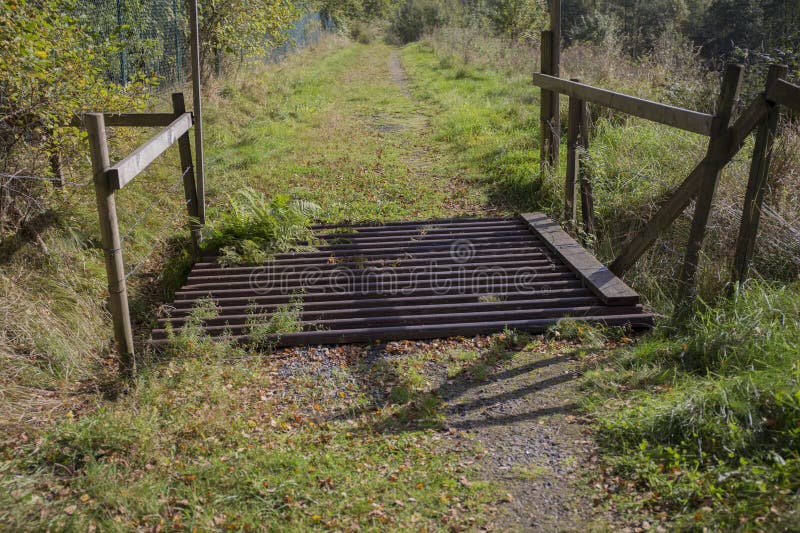 A road with a cattle grid. stock image. Image of transport - 282286367