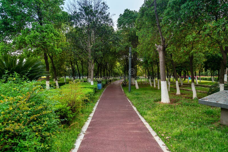 The Road of City Park in China Stock Image - Image of plant, lawn ...