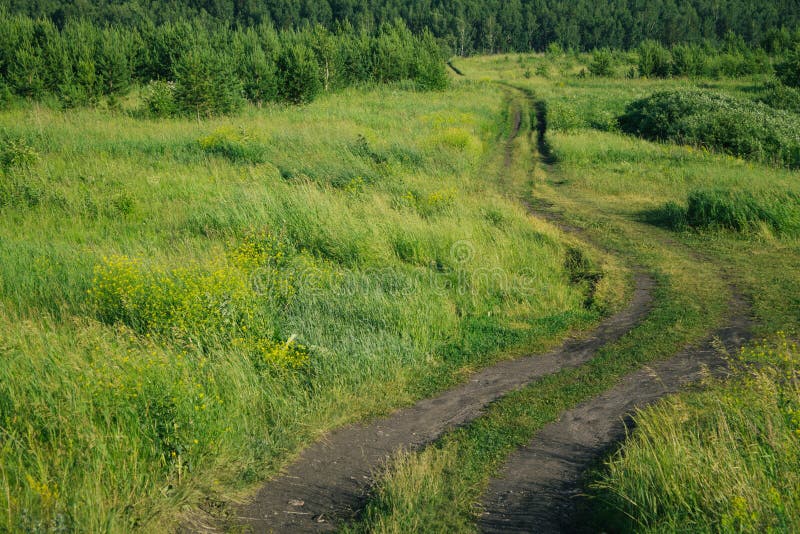 The Road through the Clearing Stock Photo - Image of meadow, grass ...
