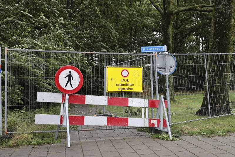 Road Closed after Possible Fall Hazard from Sick Ash Trees in a Park in ...