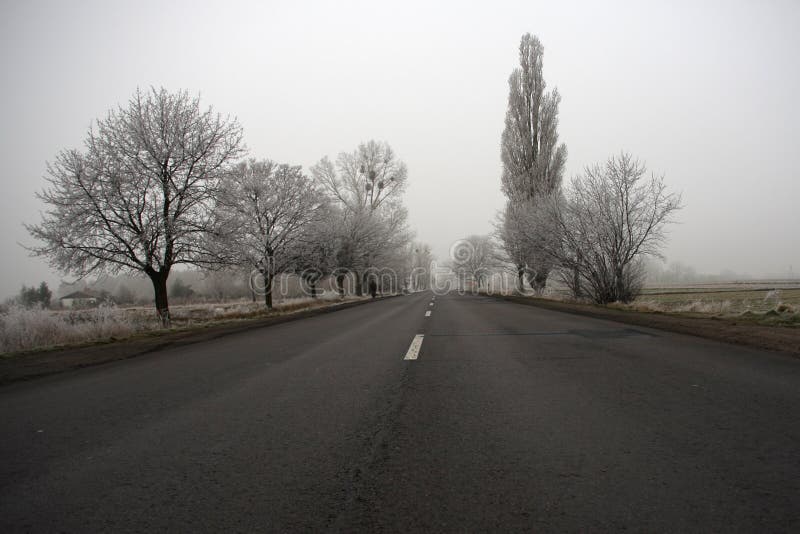 Road on a Cold Foggy Winter S Day Stock Image - Image of empty ...