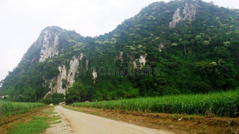 Road through Corn Field in the Valley Stock Image - Image of road ...