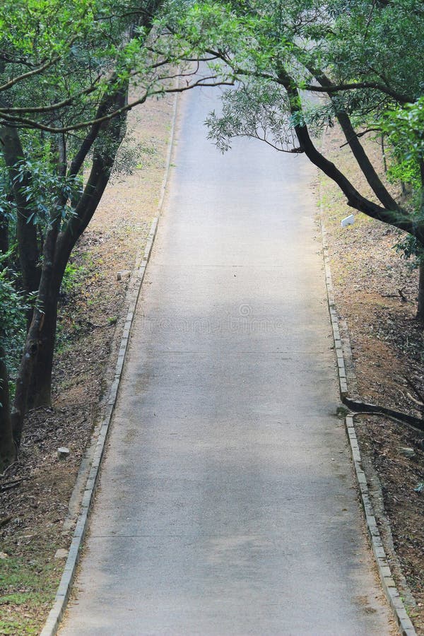 Road through a Country Park in Hong Kong Stock Photo - Image of park ...