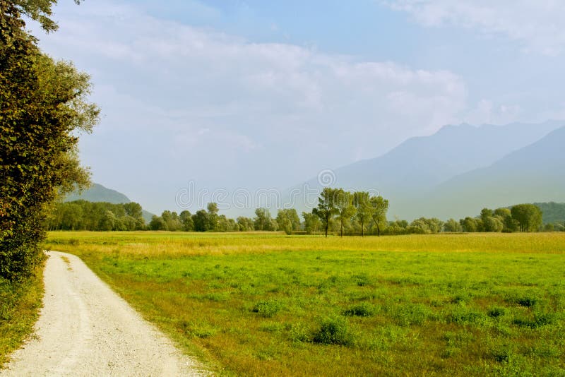 Road in the countryside stock image. Image of crop, ecology - 21641835