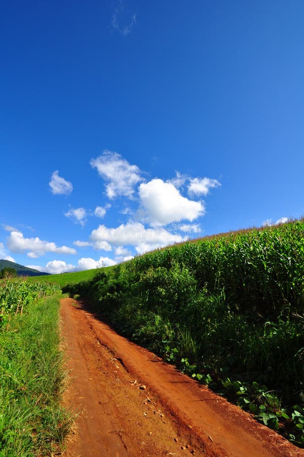 Road in the countryside stock image. Image of natural - 24958459