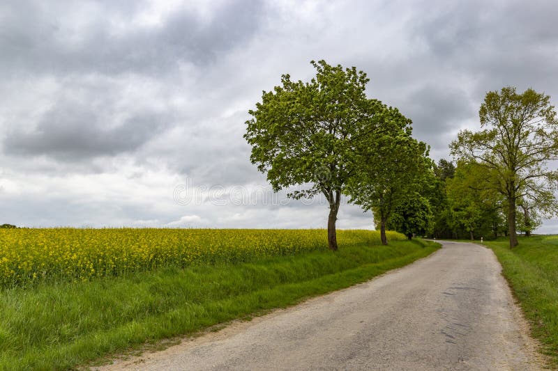 Road in the countryside stock image. Image of park, scene - 316874269
