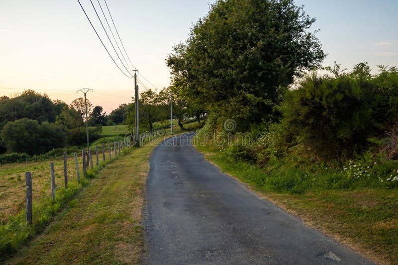 Road in the countryside stock image. Image of forest - 339112187