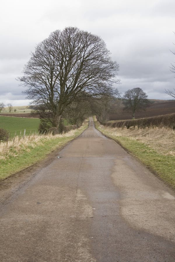 Road in countryside stock image. Image of receding, northumberland ...