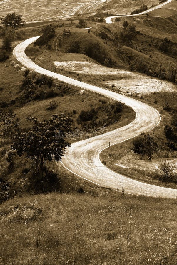 Road in countryside stock image. Image of plant, horizon - 36280049