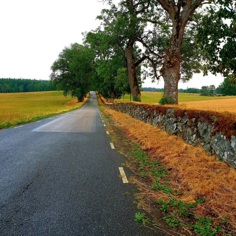 Road in the countryside stock photo. Image of countryside - 152733898