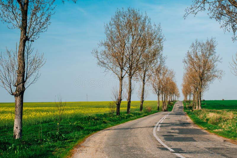 Road in countryside stock photo. Image of path, branches - 69453778
