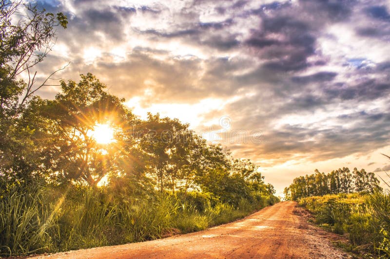 Road in the Countryside at Sunset, Beautiful Sunset in the Countryside ...