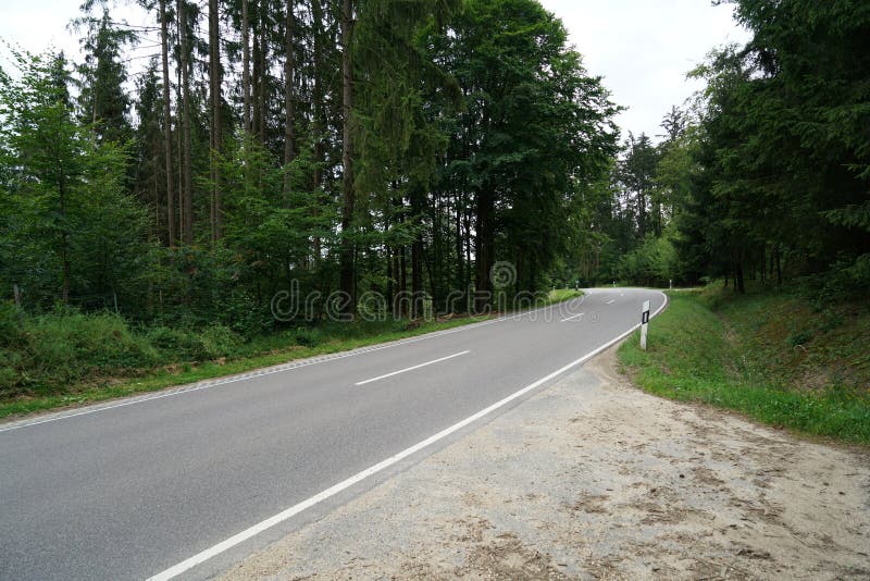 Road in a Countryside with Tall Trees on Both Sides Stock Photo - Image ...