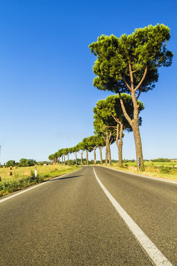 Road in the countryside stock photo. Image of moving - 33192876