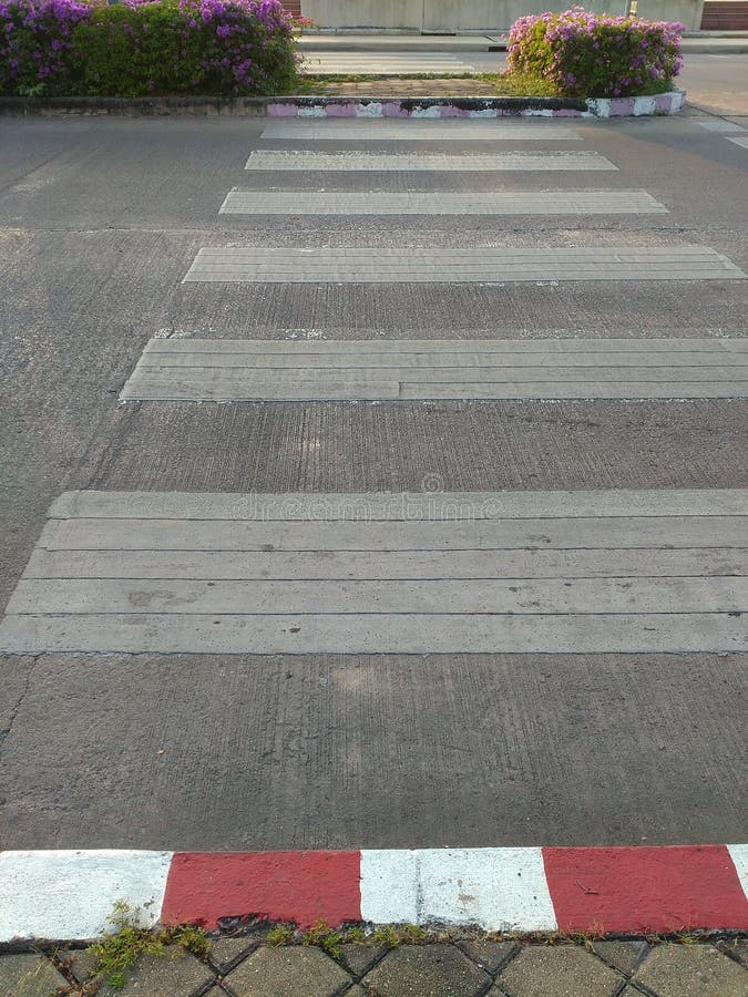 Road cross stock image. Image of zebra, cross, road, walk - 85111379