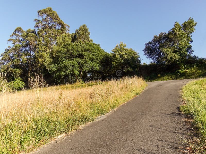 Road between fallow fields stock image. Image of blossom - 114858667