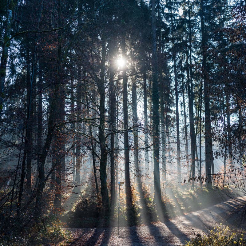 2,449 Two Paths Photos - Free & Royalty-Free Stock Photos from Dreamstime