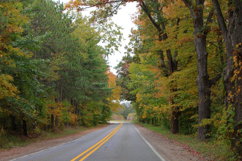 Road at the curve stock image. Image of lane, rural, curvy - 12372553