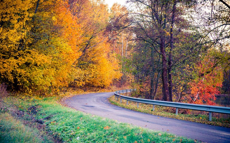 Fall S Curve stock photo. Image of color, nature, colorful - 4902974