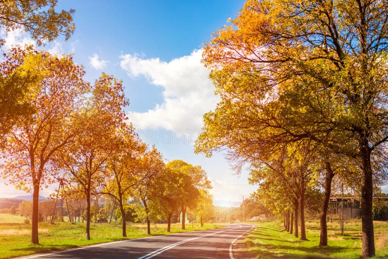 Road Curves Left stock image. Image of white, visual, caution - 227191