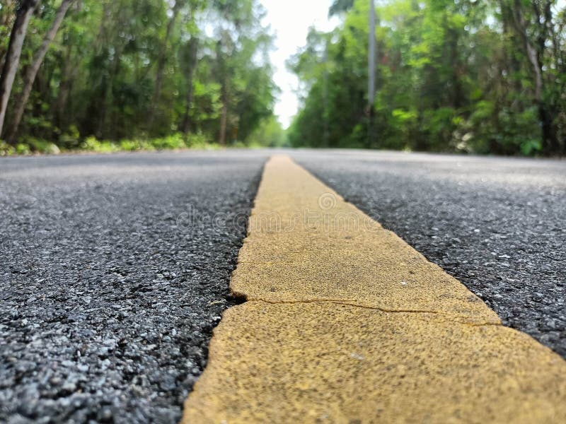 The Road that Cuts through the Forest in Thailand Stock Photo - Image ...