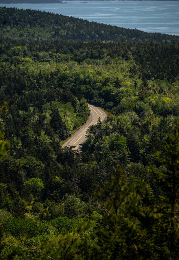 Road Cuts through the Thick Forest of Mount Desert Island Stock Photo ...