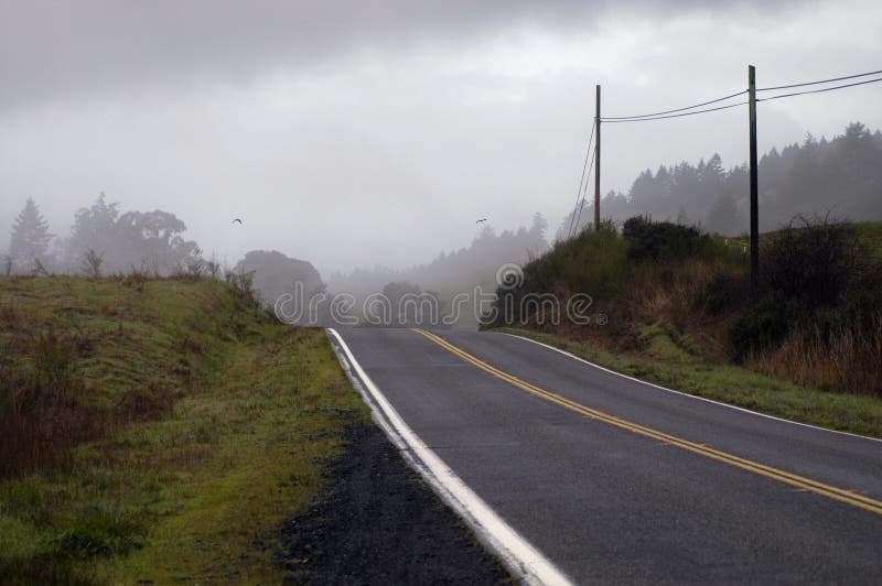 Road in dark fog stock image. Image of olema, foggy, turnout - 493897