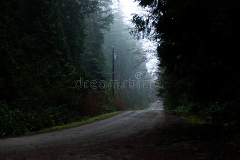 A Road through a Dark Foggy Misty Forest Stock Photo - Image of misty ...