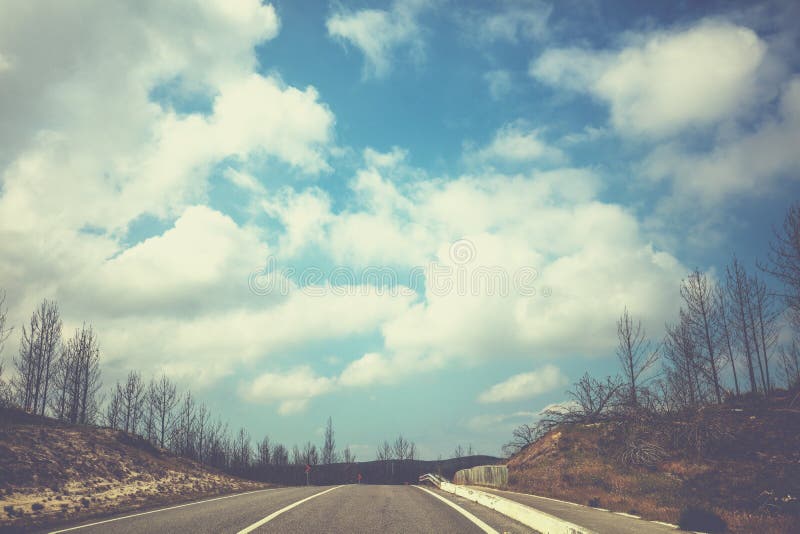 The Road through a Dead Forest Stock Photo - Image of path, clouds ...