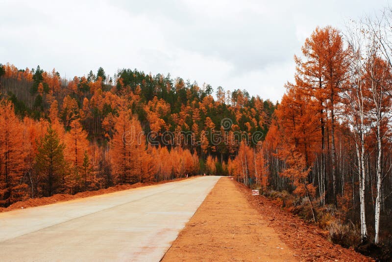 Upper Chapel Falls in Autumn Stock Photo - Image of stones, state: 1517562