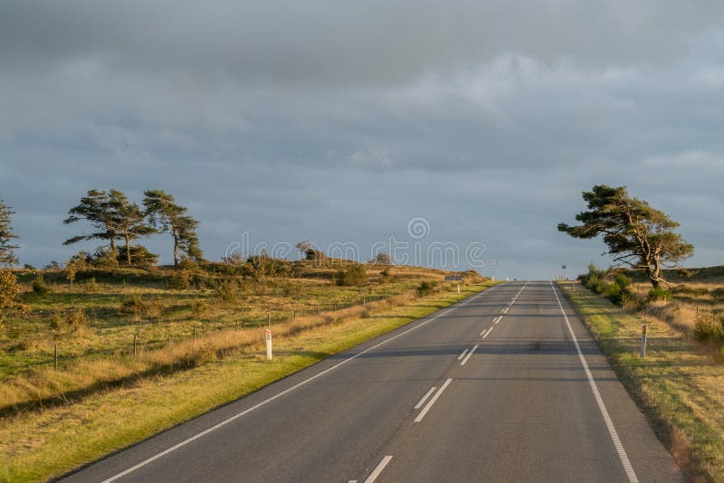 On the Road through Denmark Stock Photo - Image of tree, transportation ...