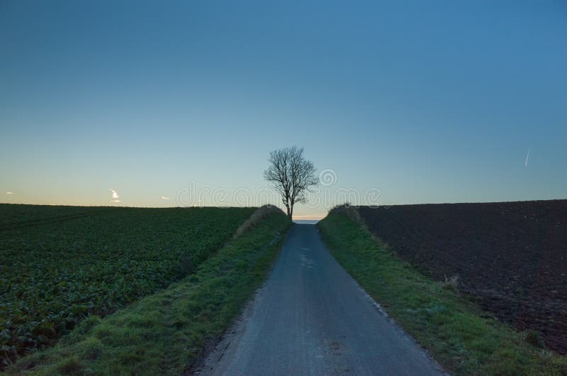 Road in Denmark stock photo. Image of stillness, landscape - 81618026