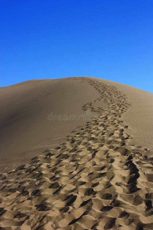 Steps in the desert stock photo. Image of dunes, clear - 29006000