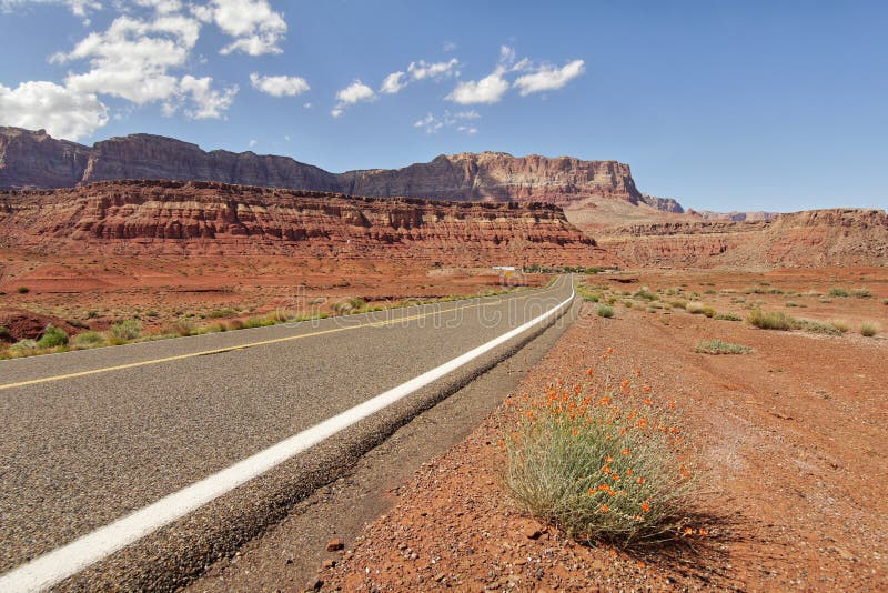 Road in the Desert of Arizona Stock Image - Image of background ...