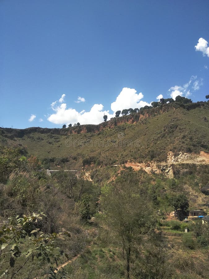 Road destroy vegetation stock photo. Image of terrain - 178477532