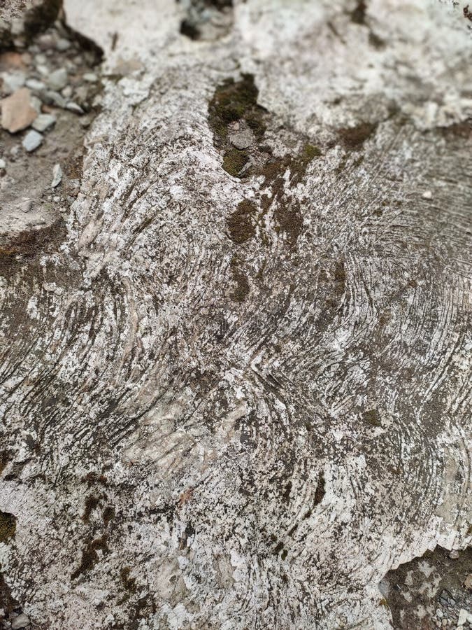 Road, Dirt, Moss, Asphalt and Textureï¿¼ Stock Photo - Image of road ...