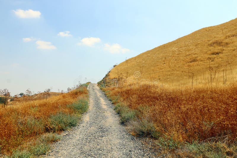 The road into the distance stock photo. Image of israel - 124628574