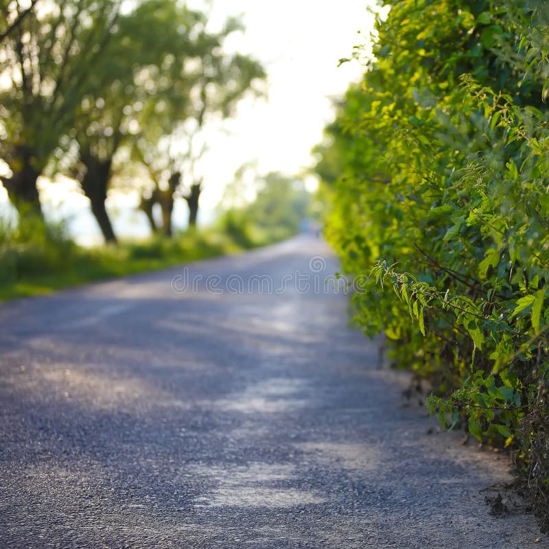 Road into the distance stock image. Image of freshness - 54035759
