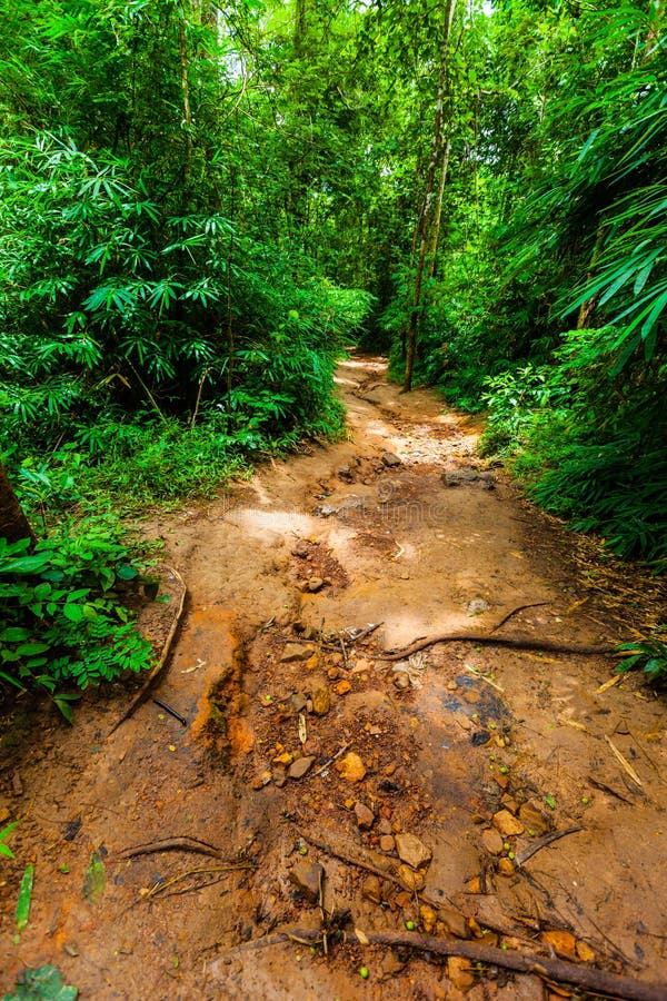 291 Uphill Waterfall Stock Photos - Free & Royalty-Free Stock Photos ...