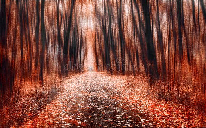 The Road through the Dramatic Forest Stock Photo - Image of color ...