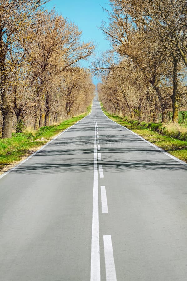 Road in Early Spring stock photo. Image of environment - 62690396